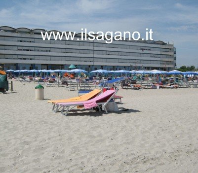 Vascello | Il Sagano